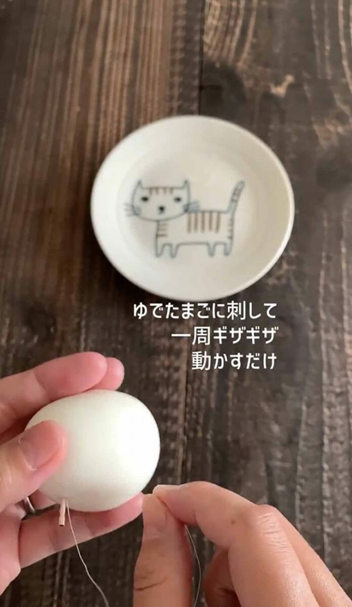 | Gourmet Biz-グルメビズ-